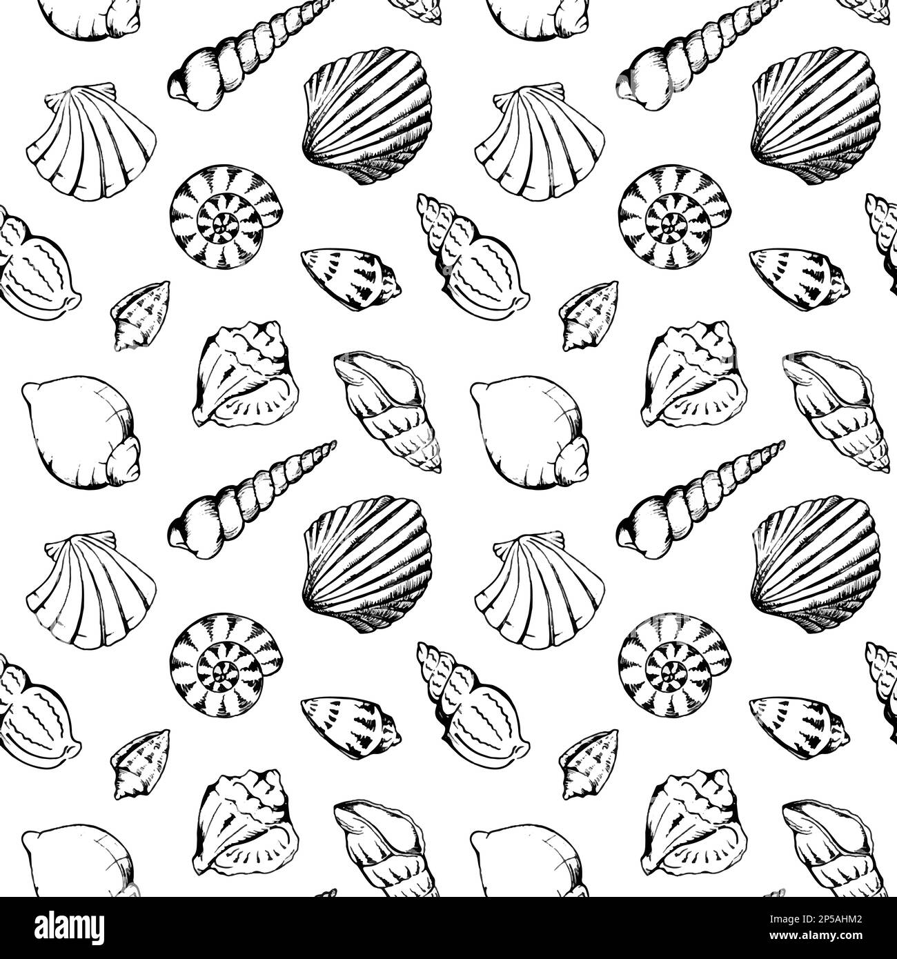 Monochrome sea shells vector seamless pattern texture background Stock ...