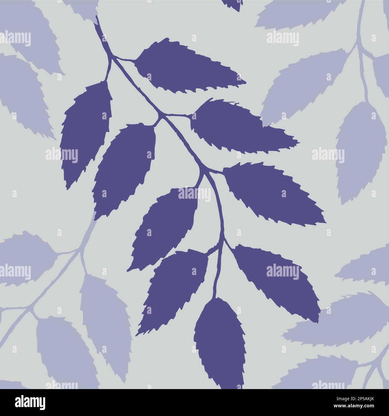 Monochrome pink lilac rowanberry ashberry leaf branch silhouette ...