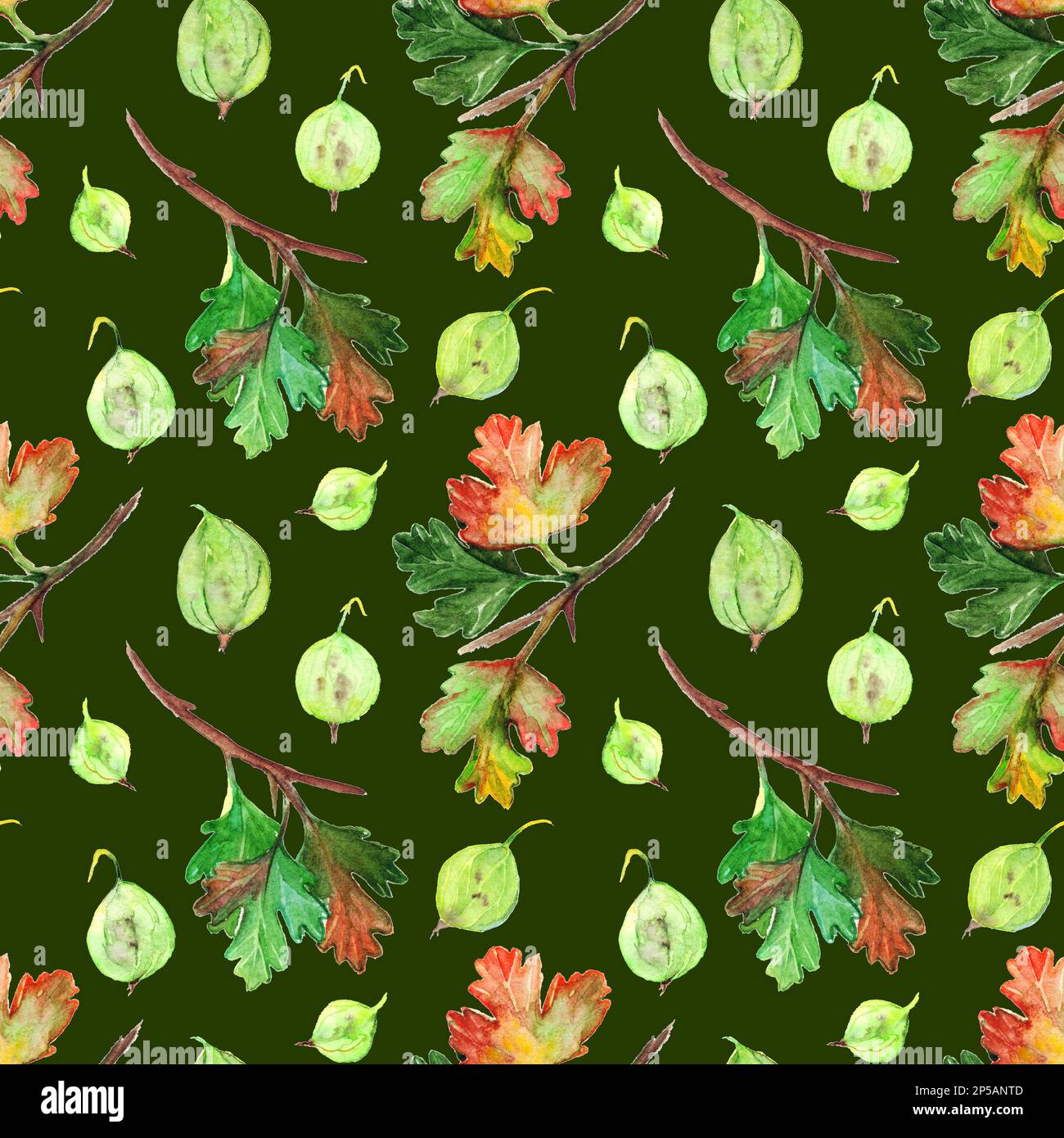 Watercolor gooseberry berry leaf branch seamless pattern texture ...