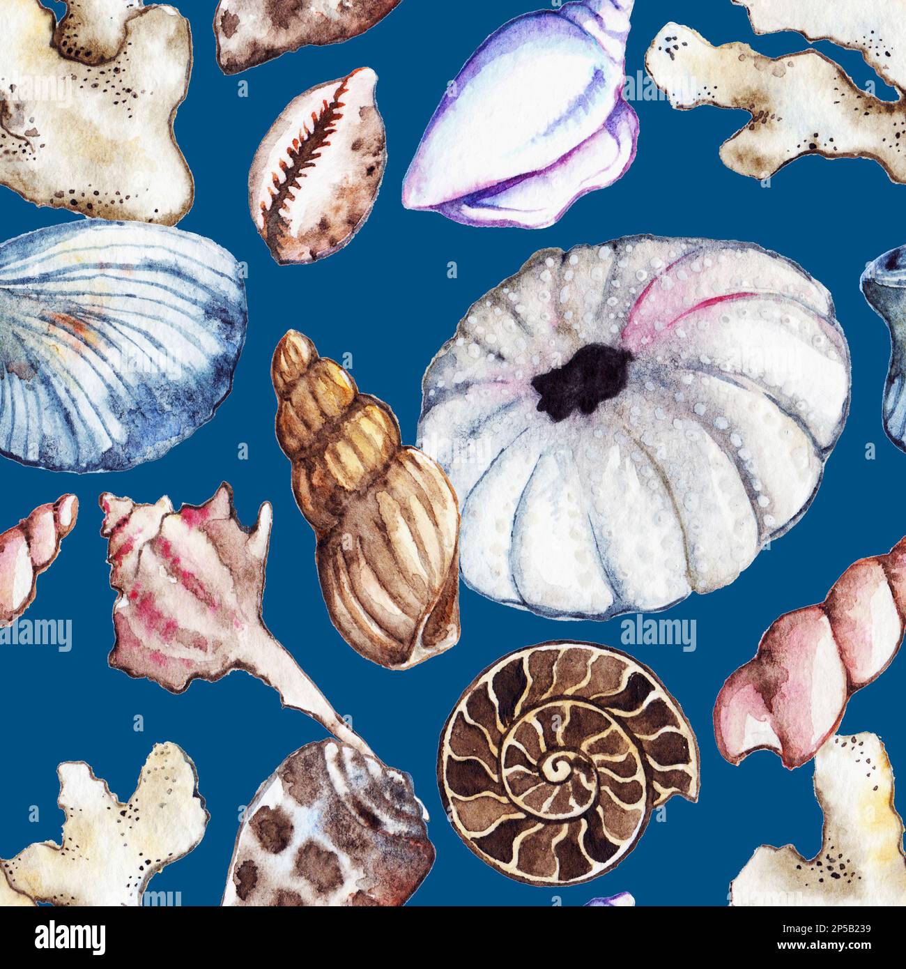 Watercolor sea ocean seashell clam coral ammonit urchin seamless ...