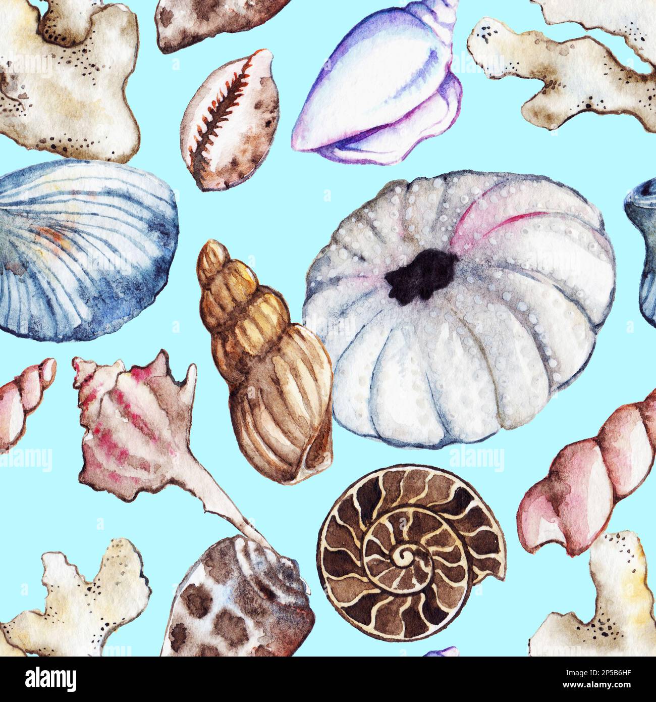 Watercolor sea ocean seashell clam coral ammonit urchin seamless ...