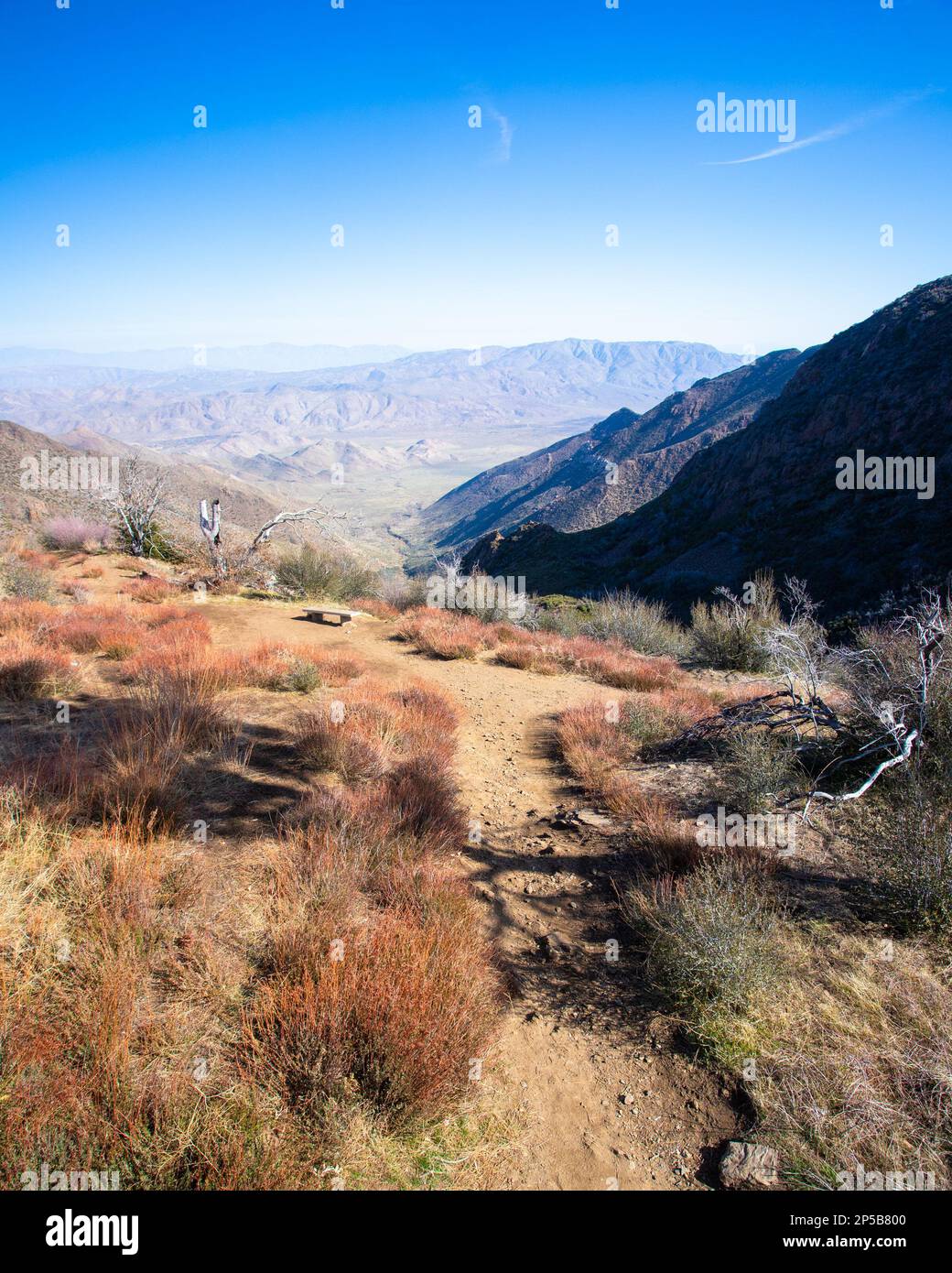 Beautiful nature vista with bench overlooking Cuyamaca Mountains in ...