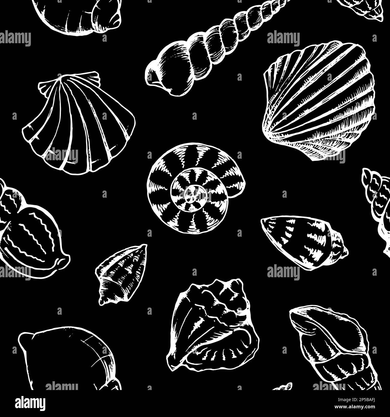 Monochrome sea shells seamless pattern texture background Stock Photo ...