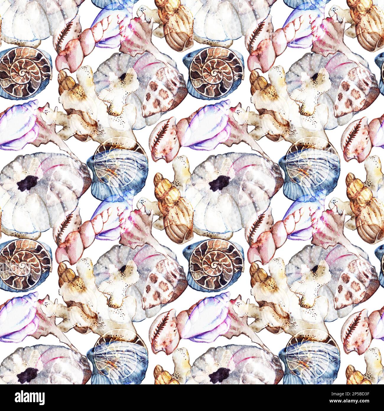 Watercolor sea ocean seashell clam coral ammonit urchin seamless ...