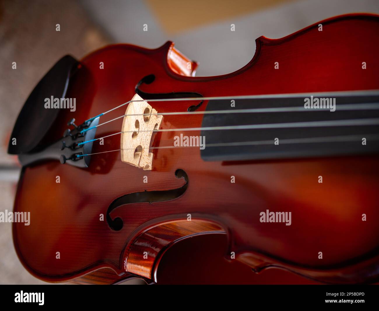 Violin bridge hi-res stock photography and images - Alamy