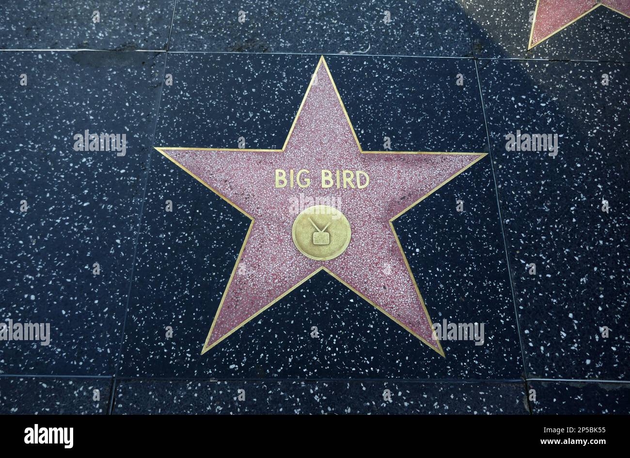 Big bird star walk of fame hi-res stock photography and images - Alamy