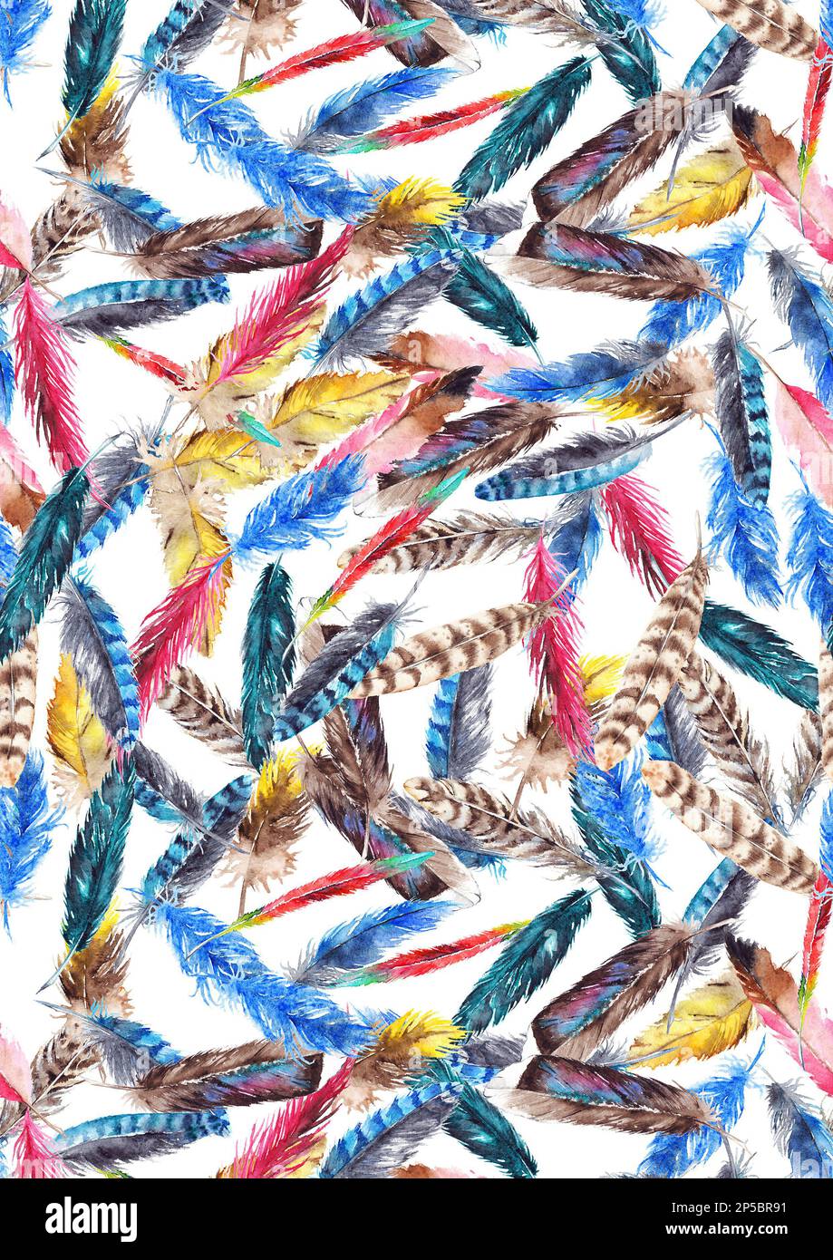 Indian bird watercolour hi-res stock photography and images - Alamy