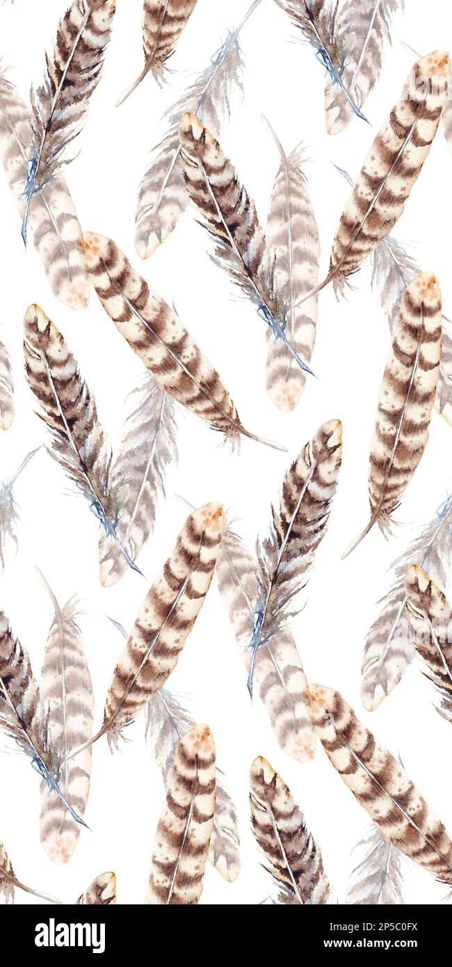 Blue jay pattern Cut Out Stock Images & Pictures - Alamy