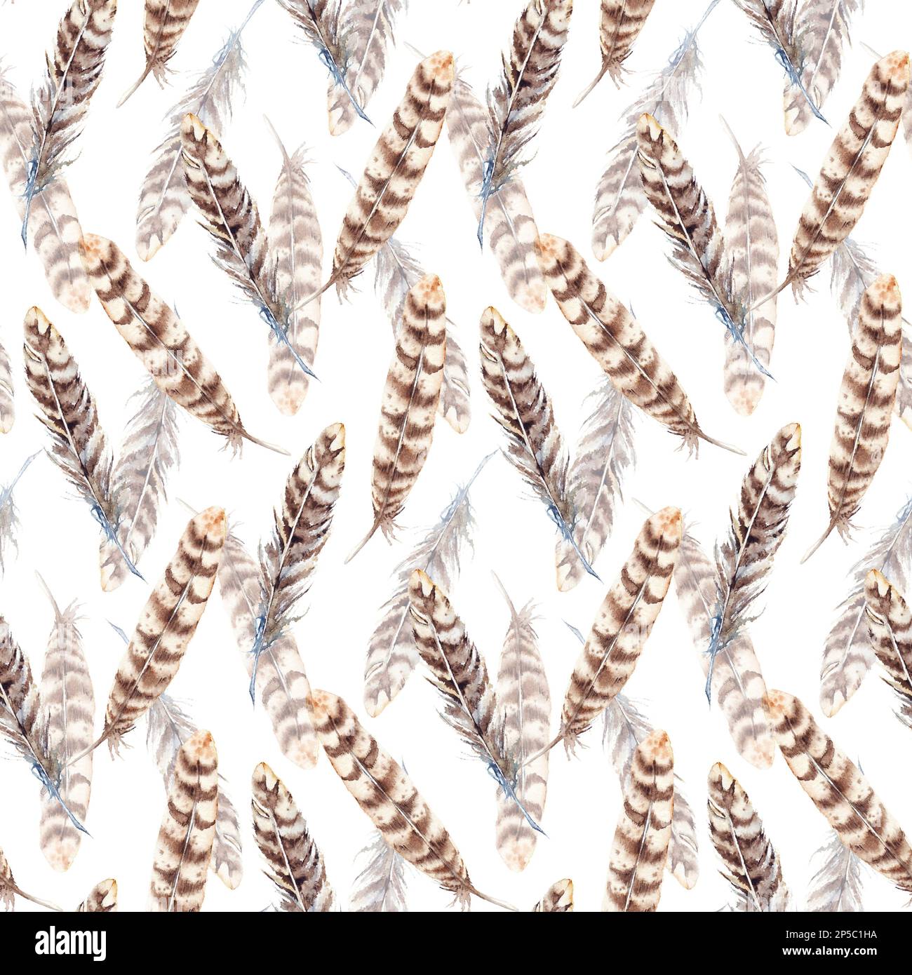 Watercolor brown beige stripe feather seamless pattern Stock Photo - Alamy