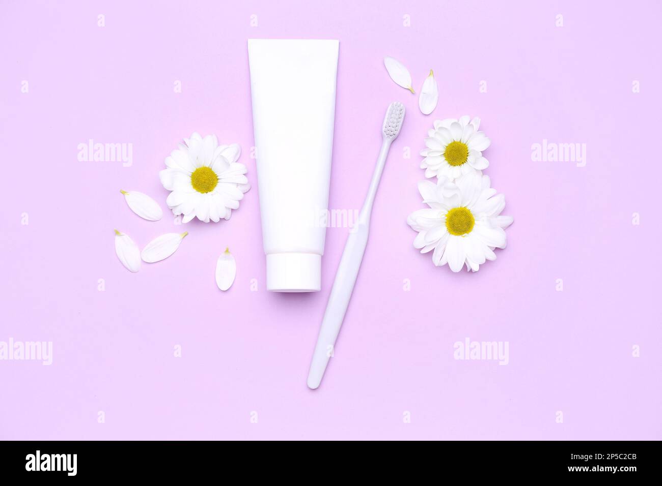 Composition with tube of toothpaste, toothbrush and chamomile flowers ...
