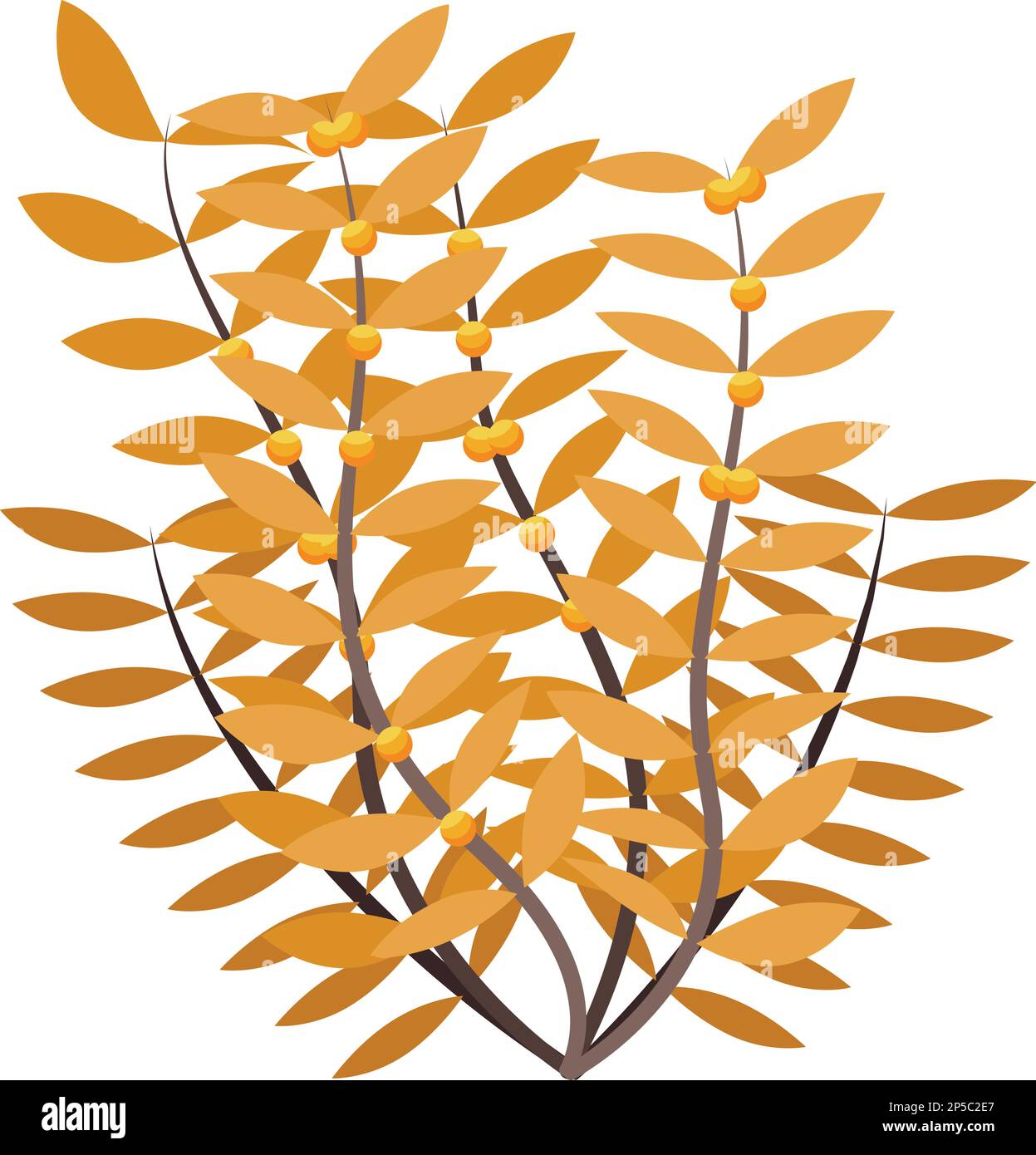 Ocean plant icon isometric vector. Marine algae. Deep moss Stock Vector ...