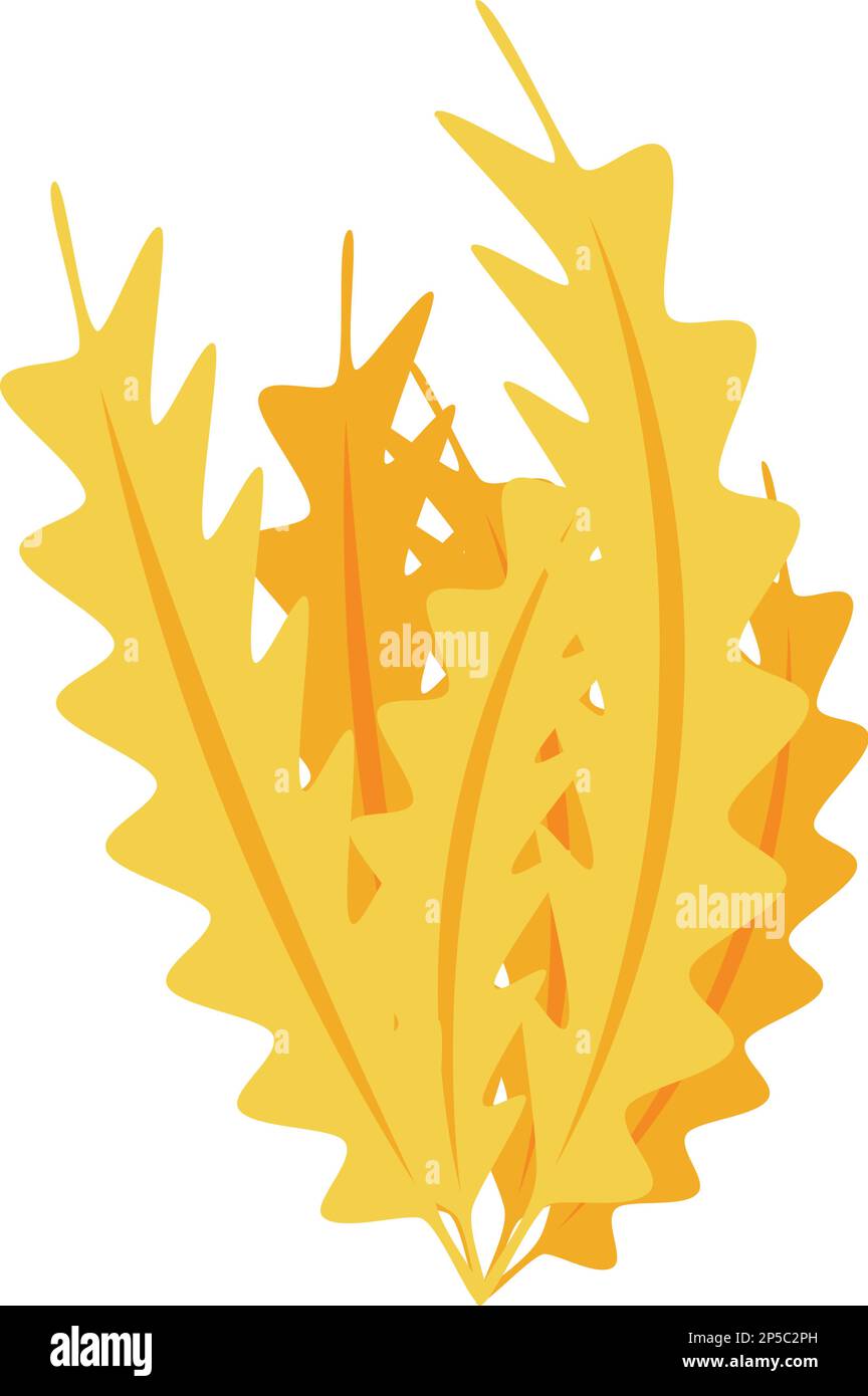 Sea moss icon isometric vector. Marine plant. Alga plant Stock Vector ...