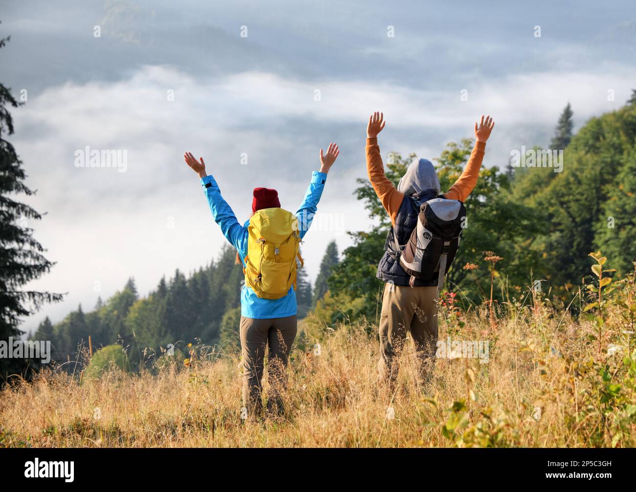 Tourists with backpacks in mountains, back view Stock Photo - Alamy