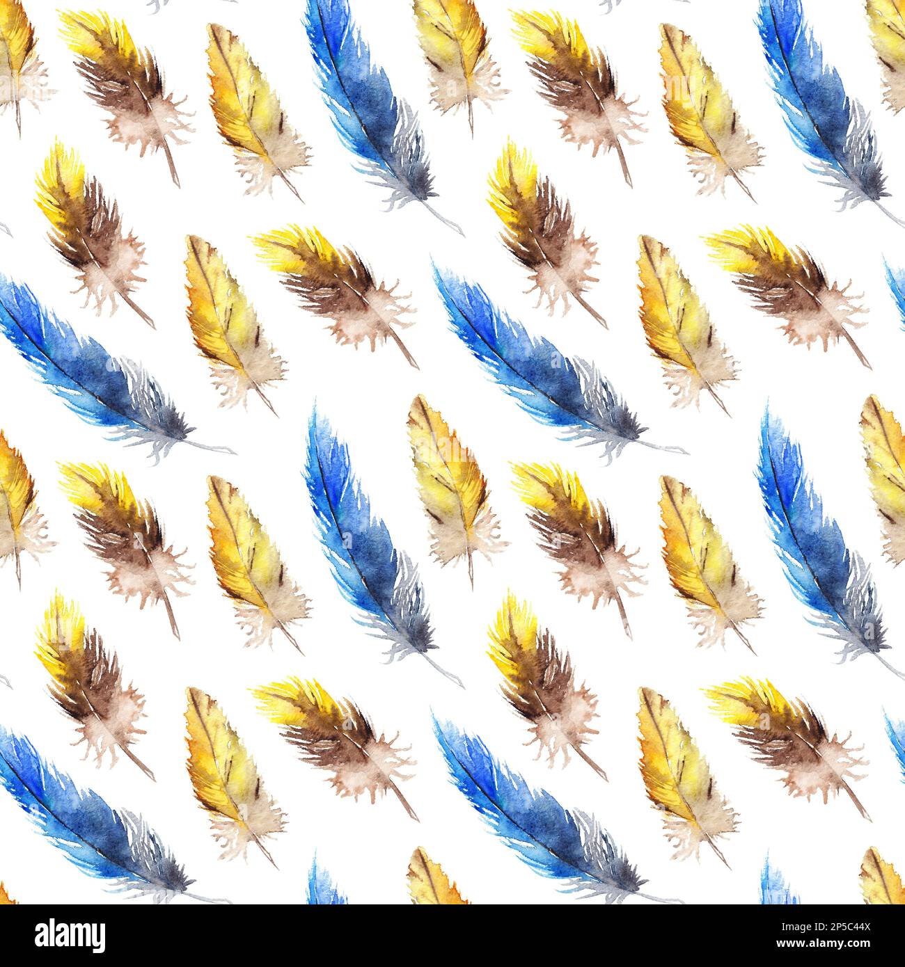 Watercolor blue jay yellow parrot bird feather on white seamless ...