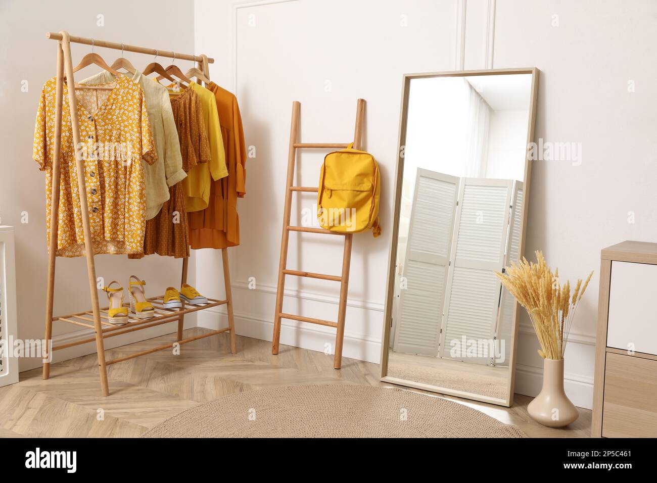 Modern room with clothes rack and big mirror. Interior design Stock ...