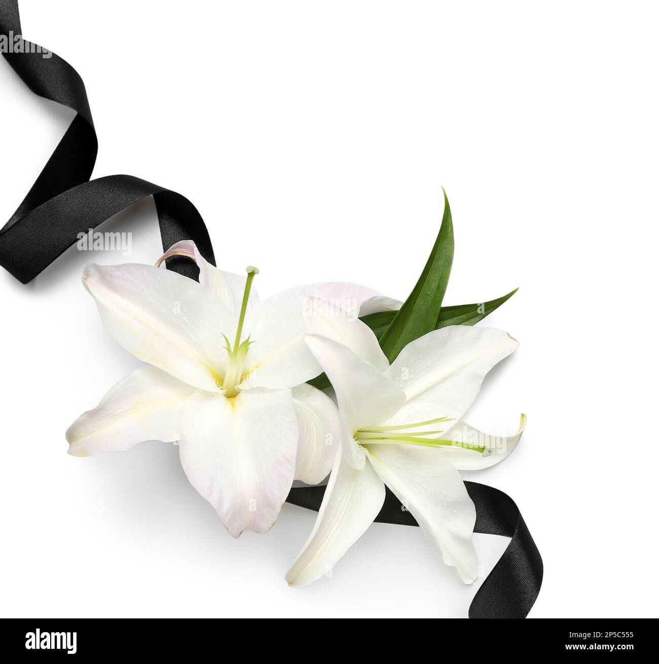Black funeral ribbon and beautiful lily flowers on white background ...