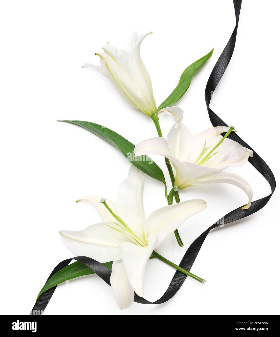 Composition with beautiful lily flowers and black funeral ribbon on ...