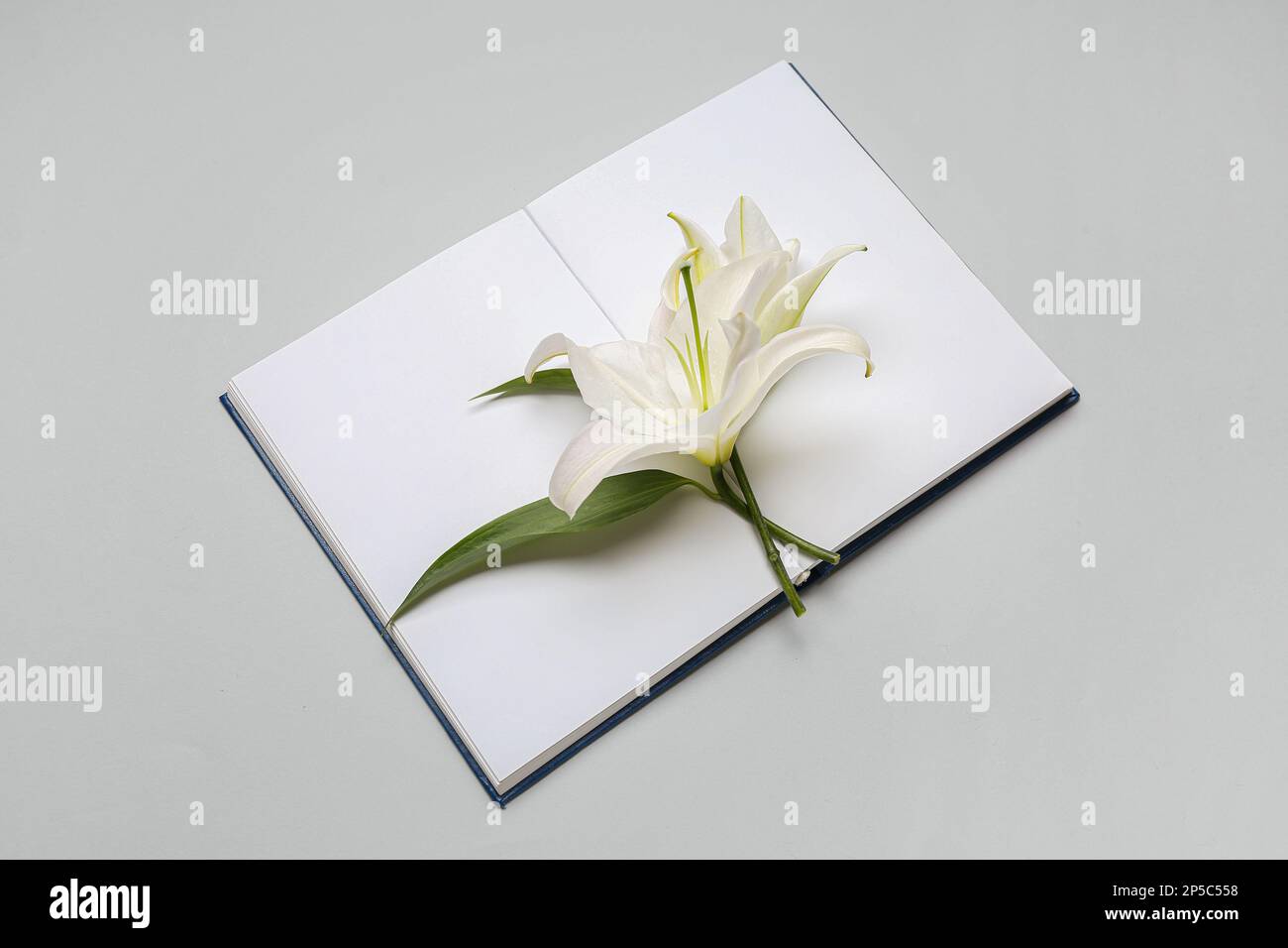 Open book and beautiful lily flowers on white background Stock Photo ...