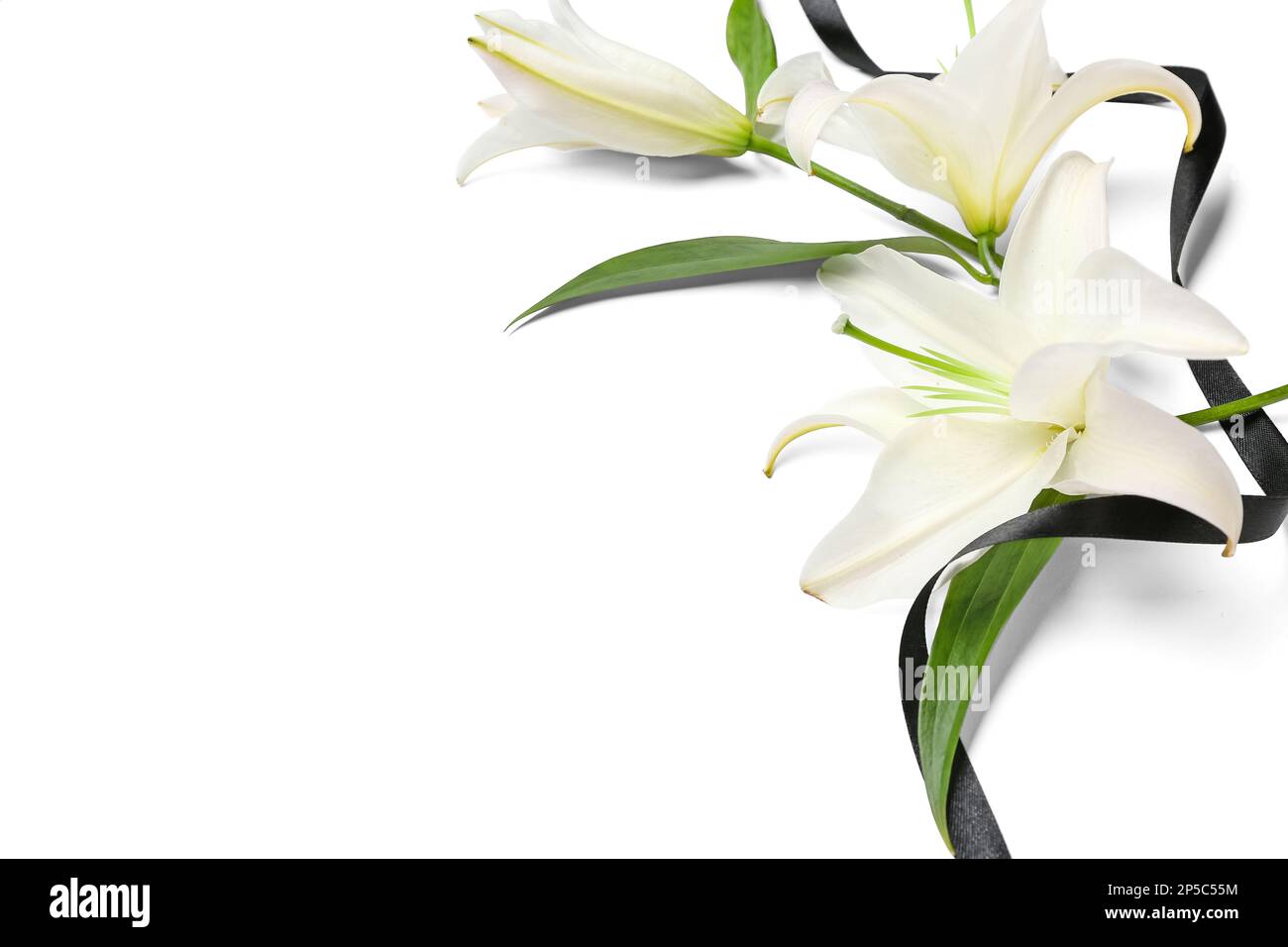 Composition with beautiful lily flowers and black funeral ribbon on ...