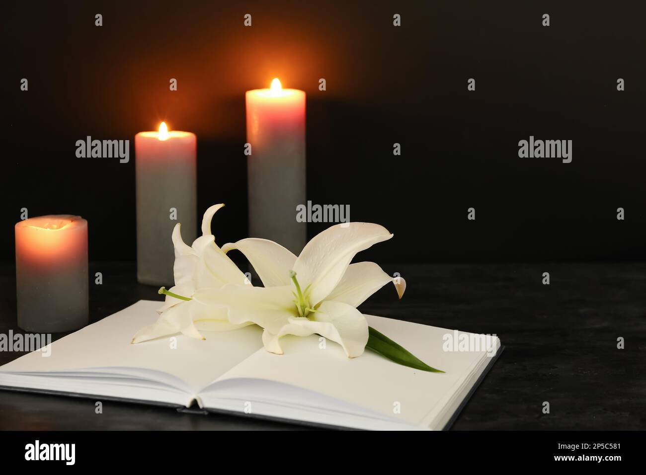 Book white lily flowers hi-res stock photography and images - Alamy