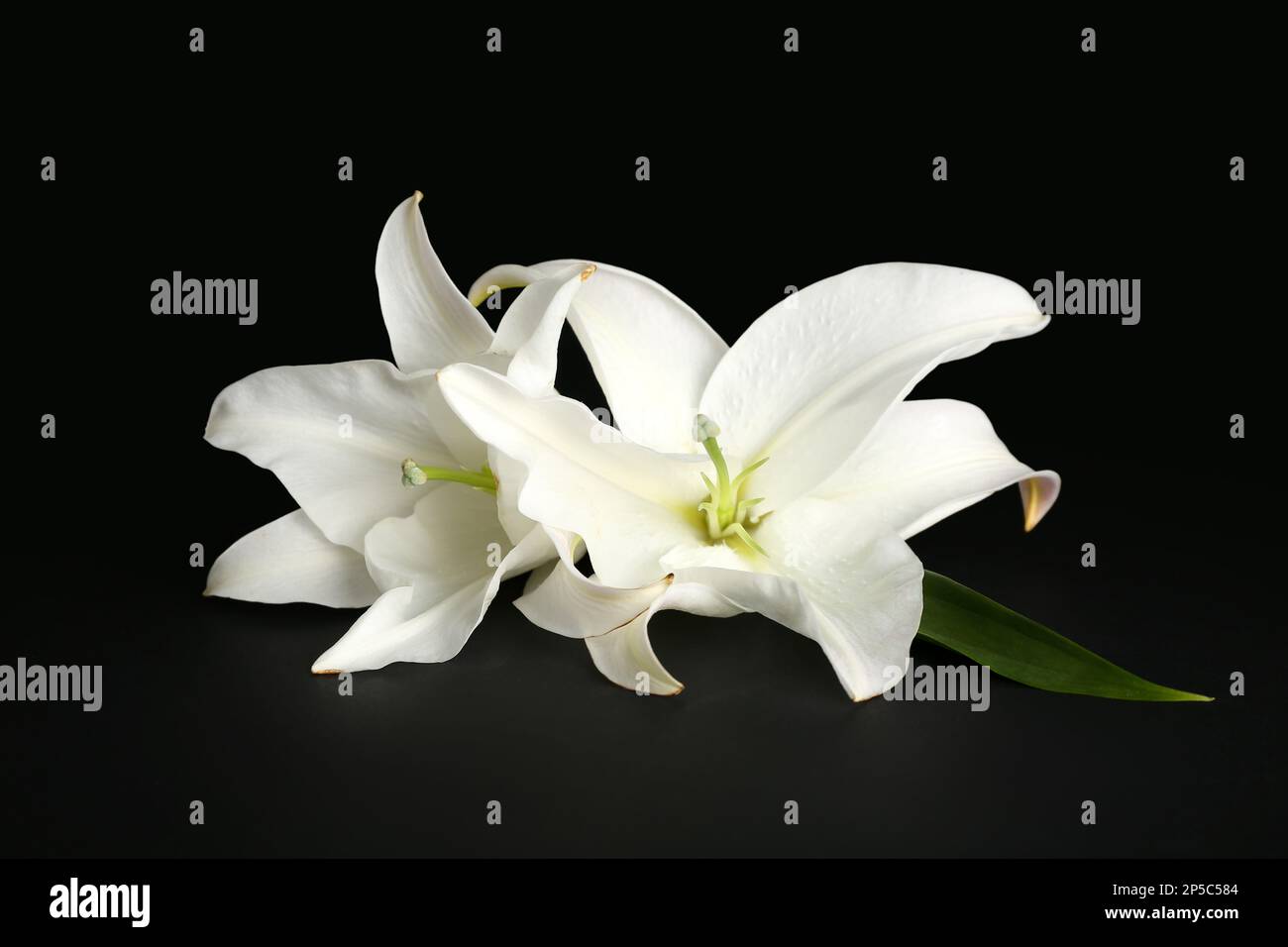 Delicate emotions hi-res stock photography and images - Alamy