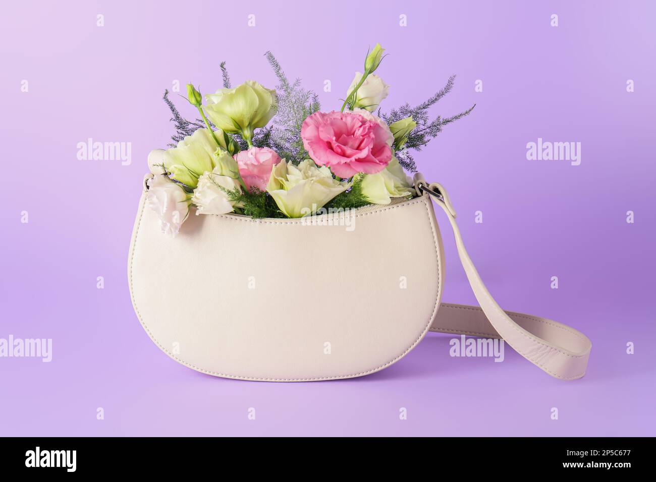 Stylish womens bag hi-res stock photography and images - Alamy