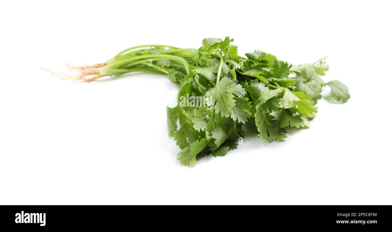 Bunch of fresh coriander on white background Stock Photo - Alamy