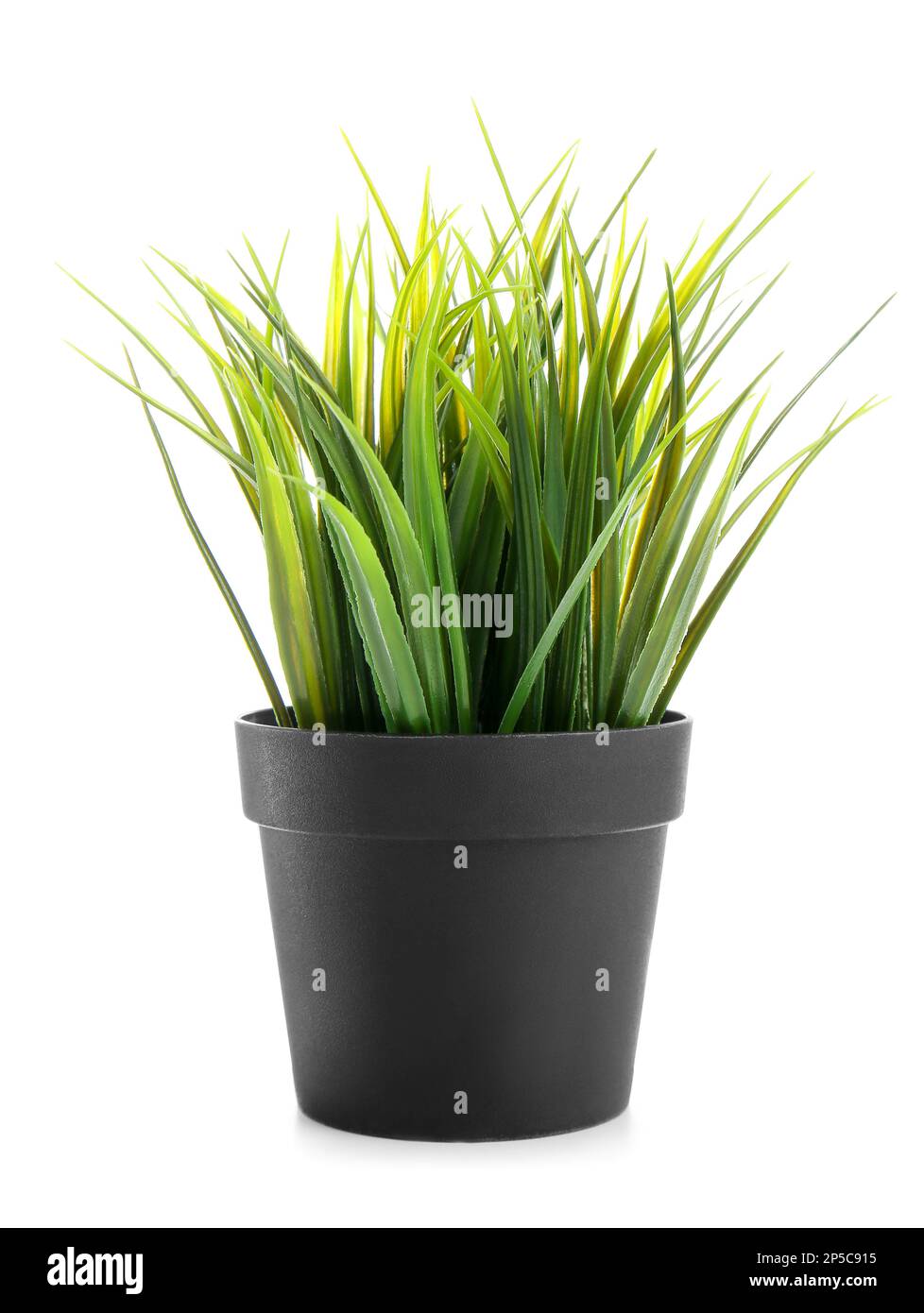 Artificial grass in pot on white background Stock Photo - Alamy