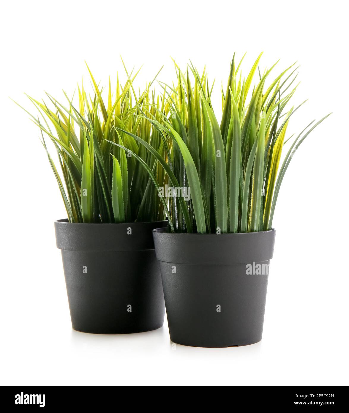 Artificial grass in pots on white background Stock Photo - Alamy