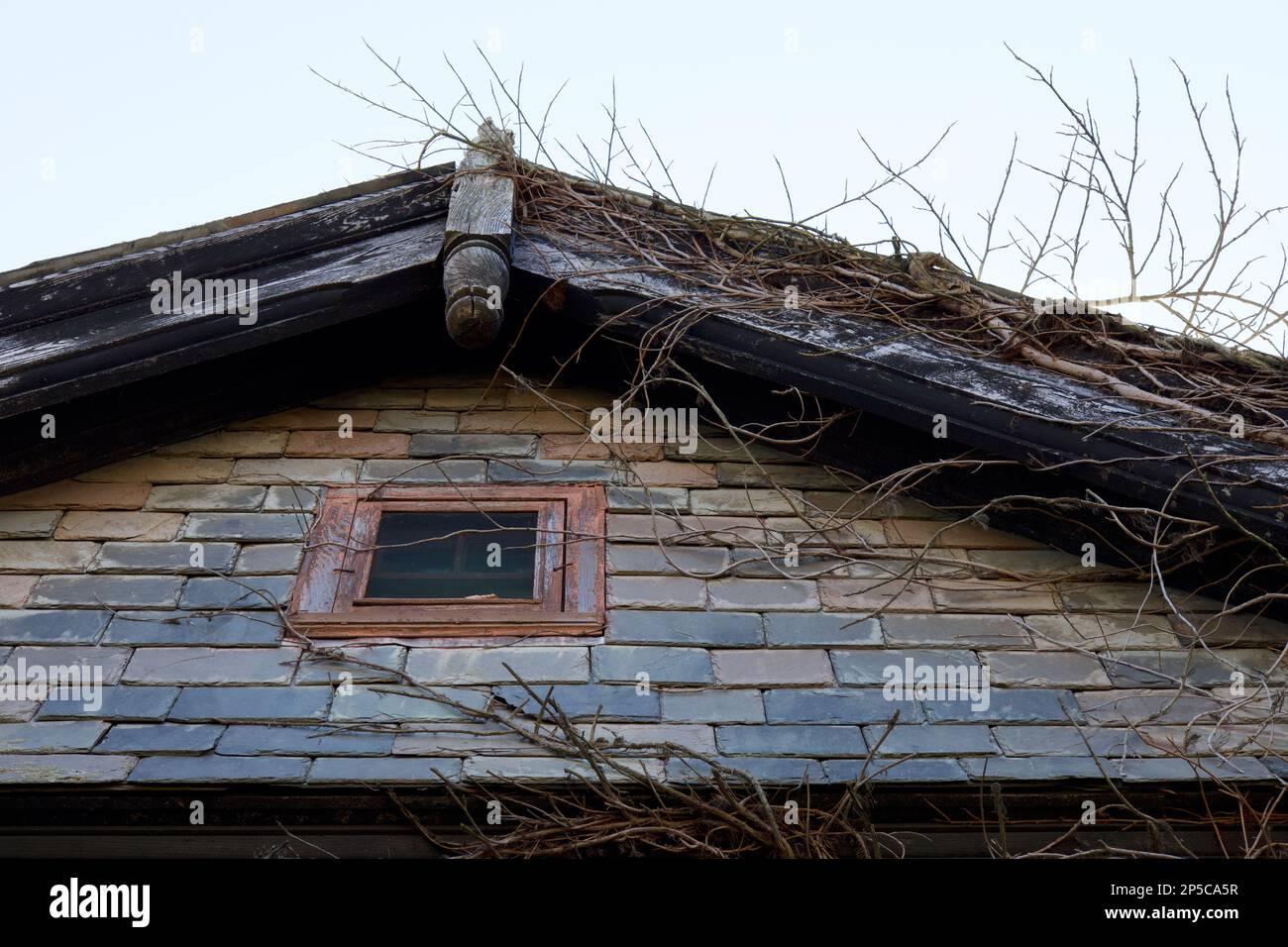 View of the top of an old, rundown building with slate siding and wood ...