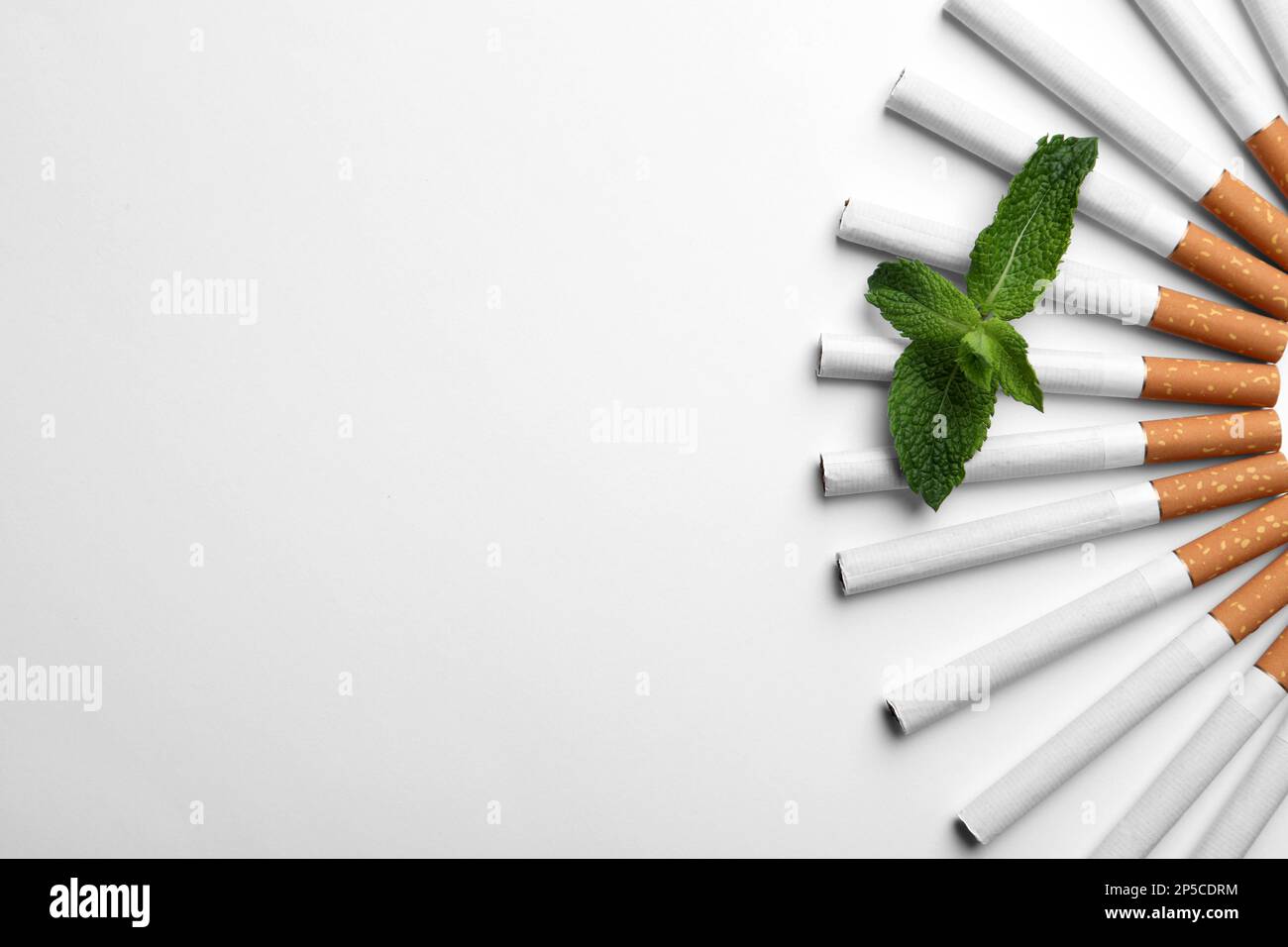 Menthol cigarettes and fresh mint leaves on white background, flat lay ...