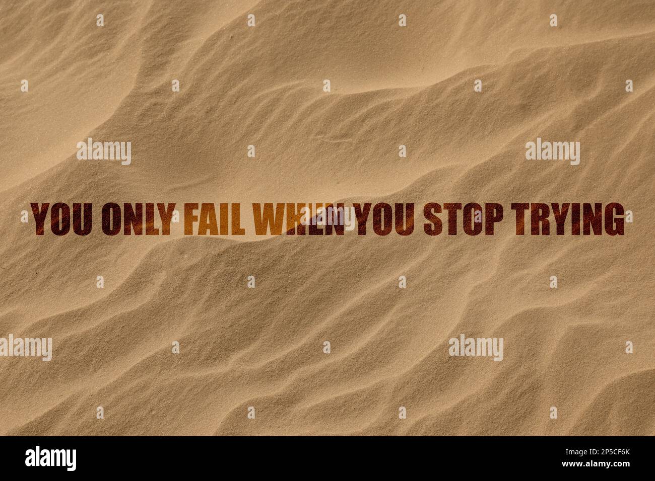 You Only Fail When You Stop Trying. Inspirational quote motivating not ...