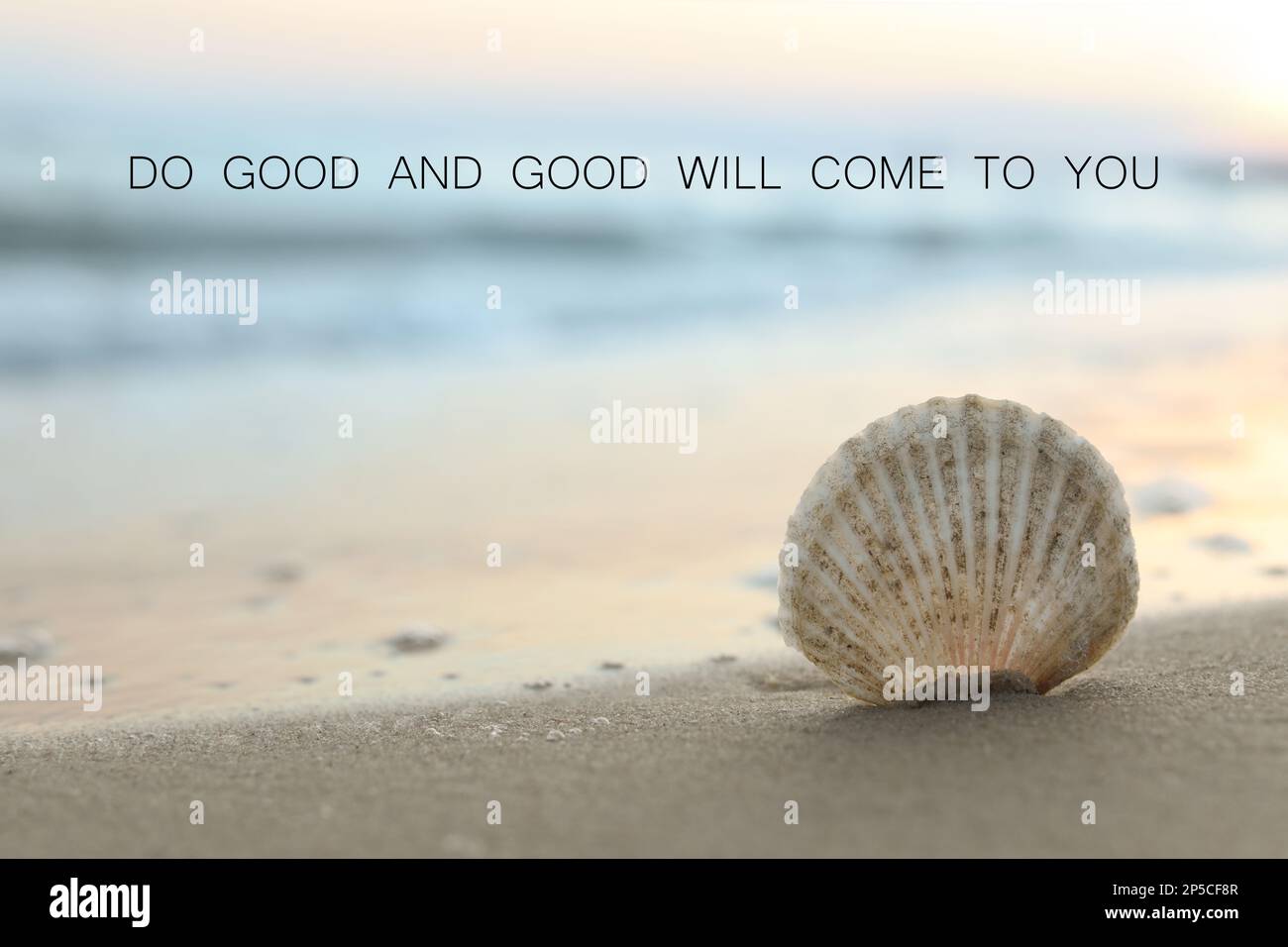The Good Will Come Quotes