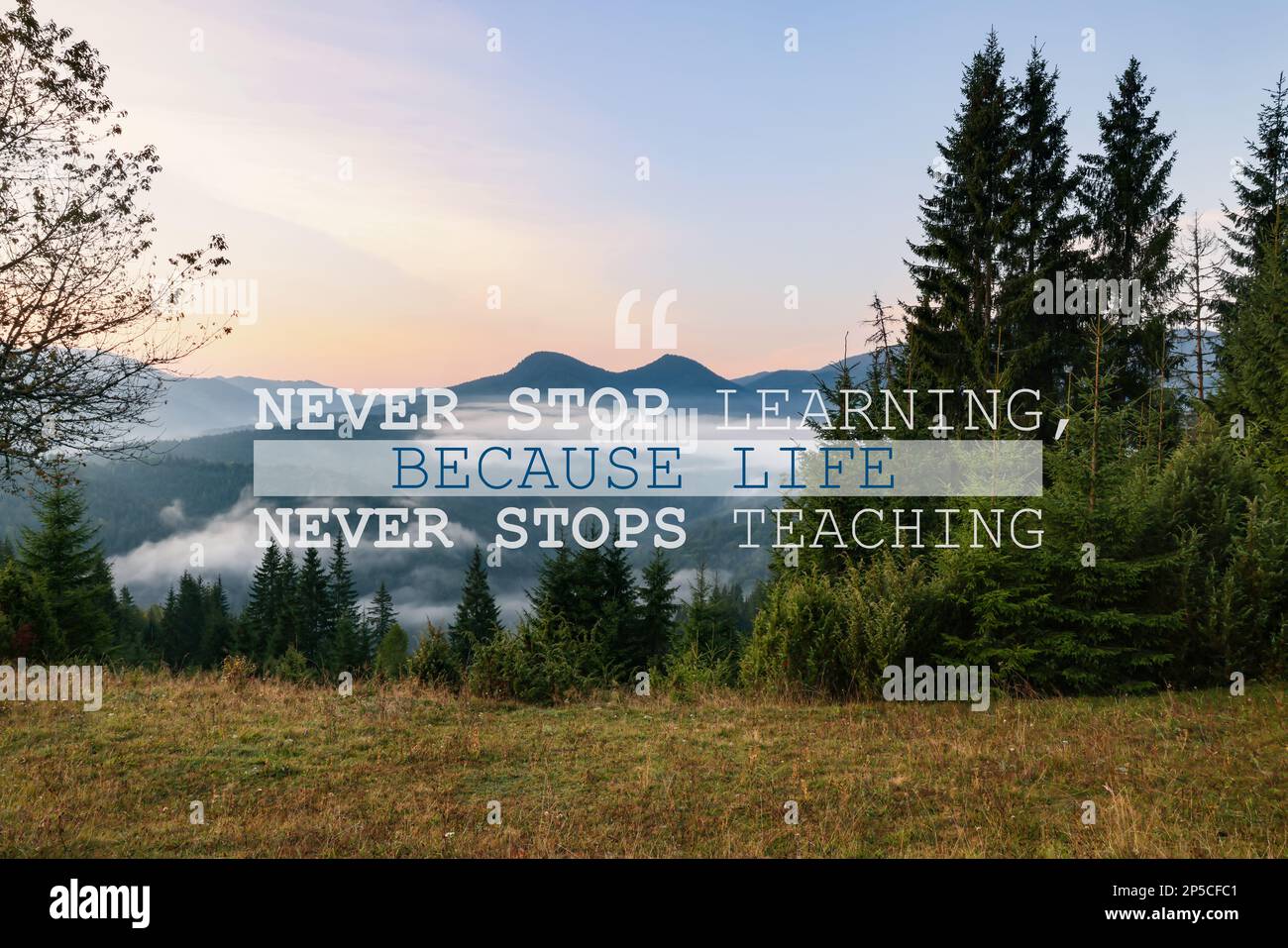 Never Stop Learning, Because Life Never Stops Teaching. Motivational ...