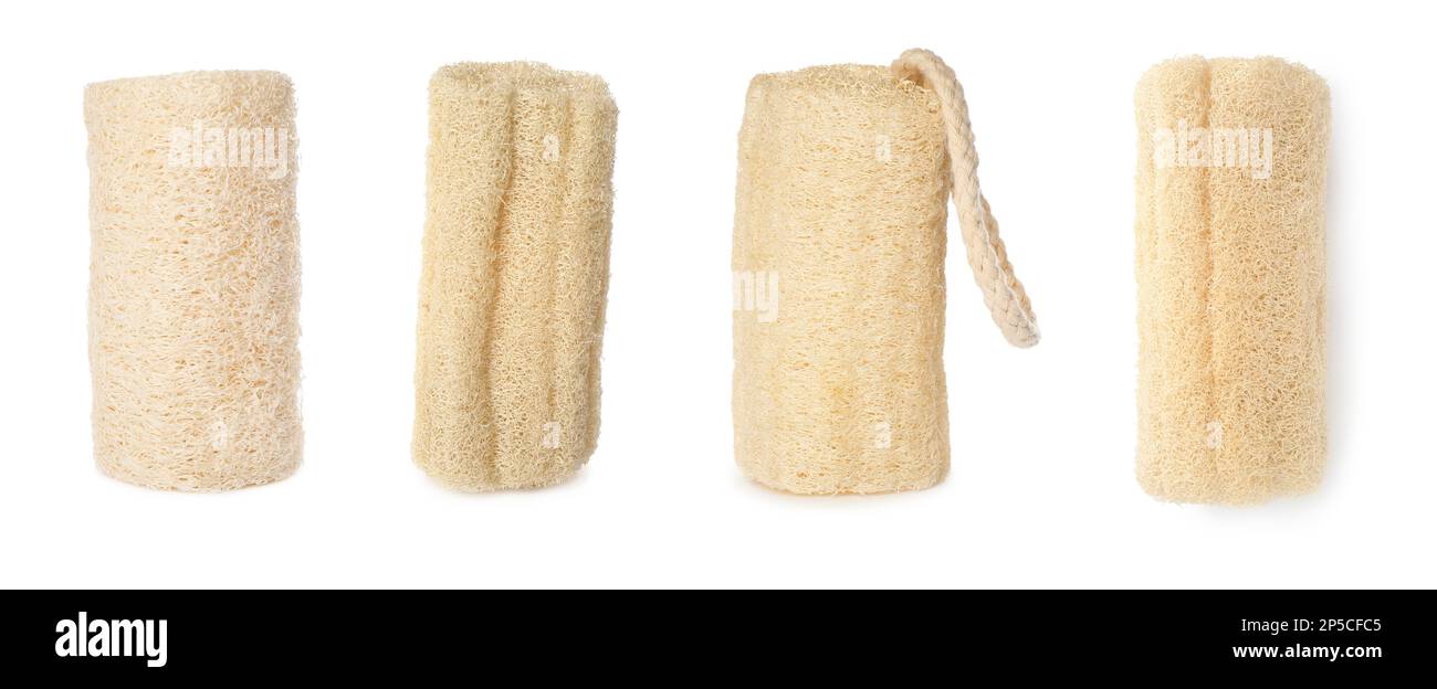 Set with natural shower loofah sponges on white background. Banner ...