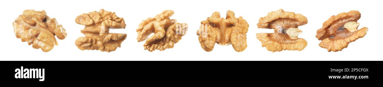 Set with tasty walnuts on white background. Banner design Stock Photo ...