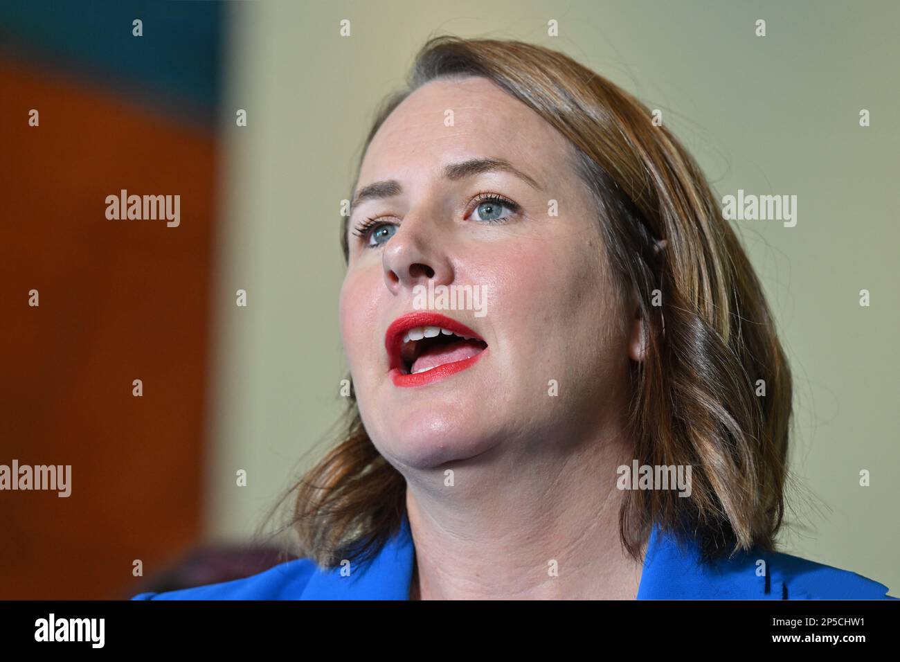 Labor senator Nita Green at a press conference at Parliament House in ...