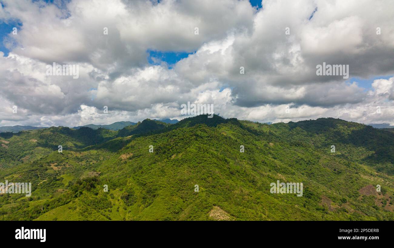 Top view of Mountain slopes covered with rainforest and jungle ...