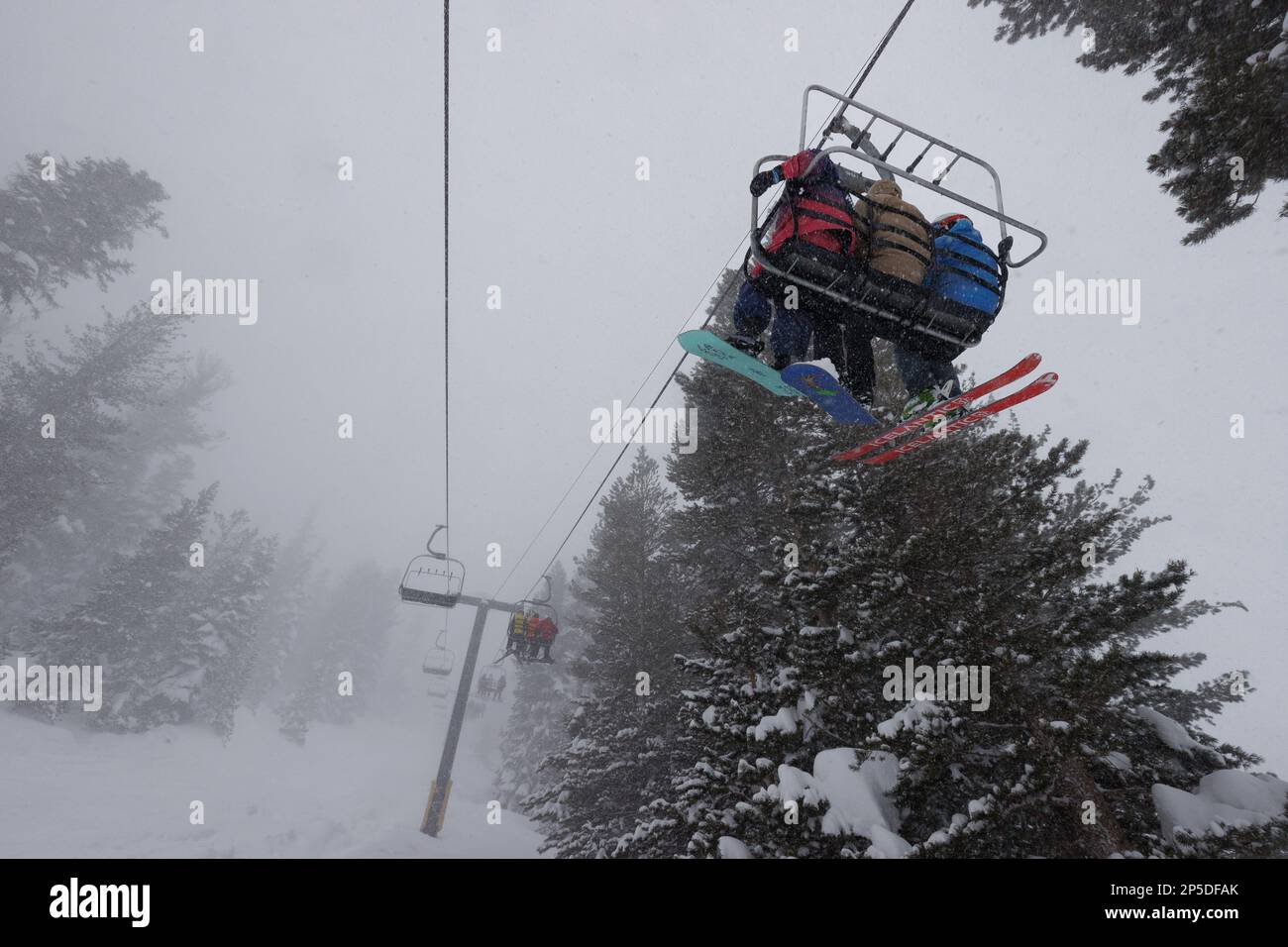 Two snowboarders and one skier ride a lift through trees during a ...