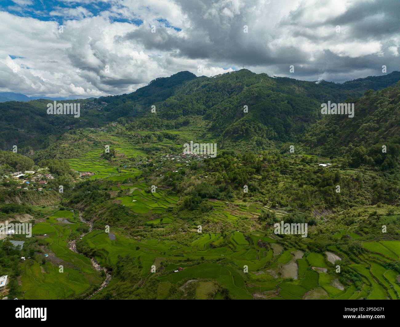 Aerial drone of agricultural land and Rice terraces in the mountains ...