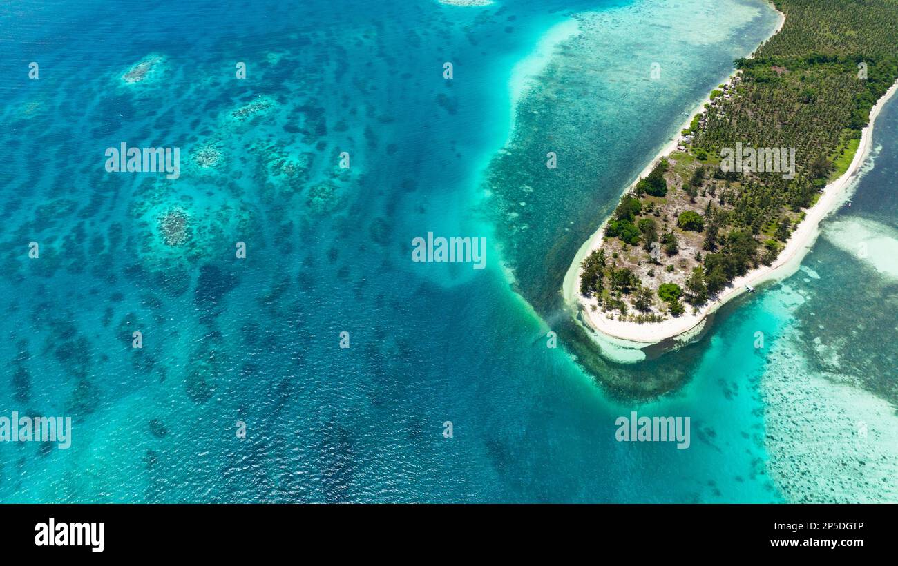 Top view of tropical island with beach and palm trees. Canabungan ...