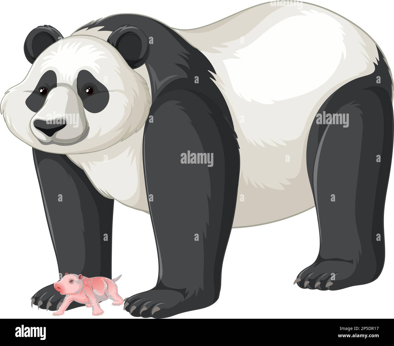 Adult panda bear Stock Vector Images - Alamy