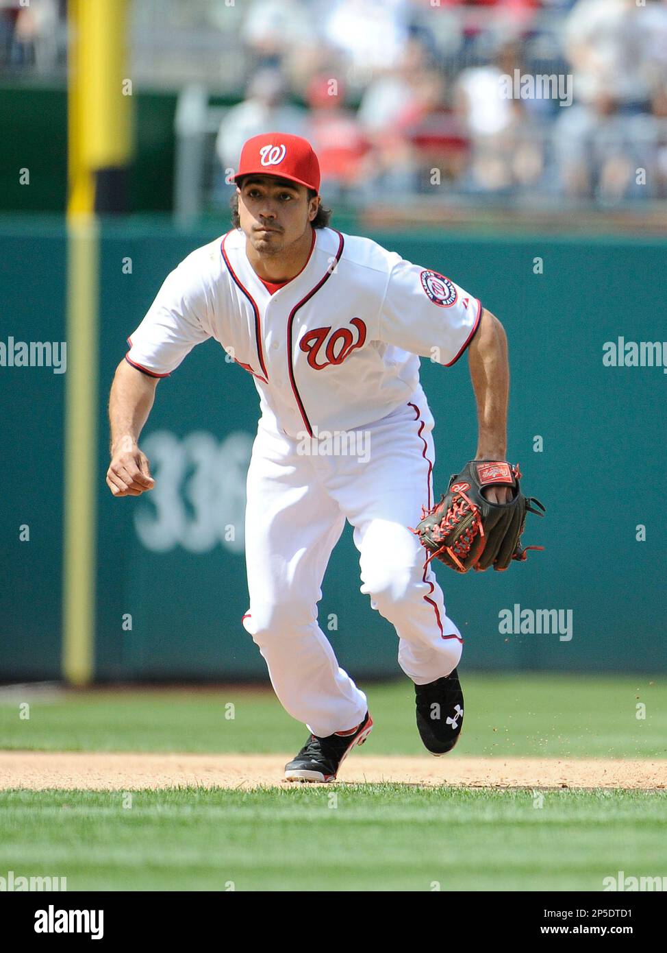 Washington Nationals Anthony Rendon (6) during a game against the St ...