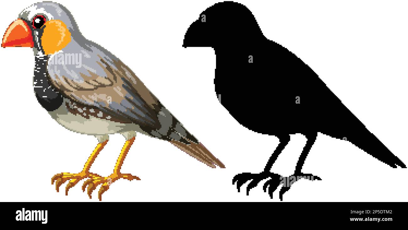 Silhouette of standing bird illustration Stock Vector Image & Art - Alamy