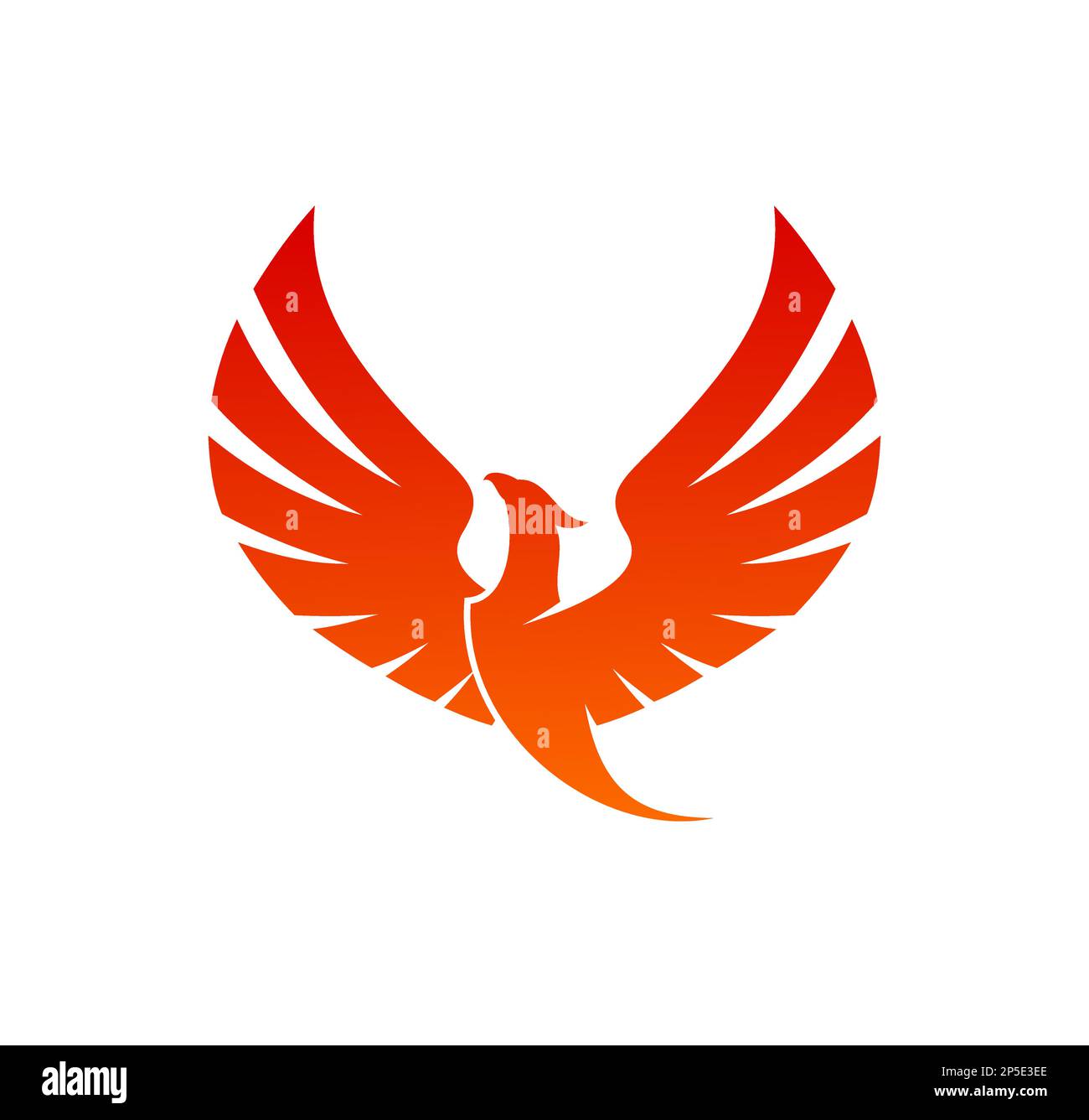 Orange tail feathers Stock Vector Images - Alamy