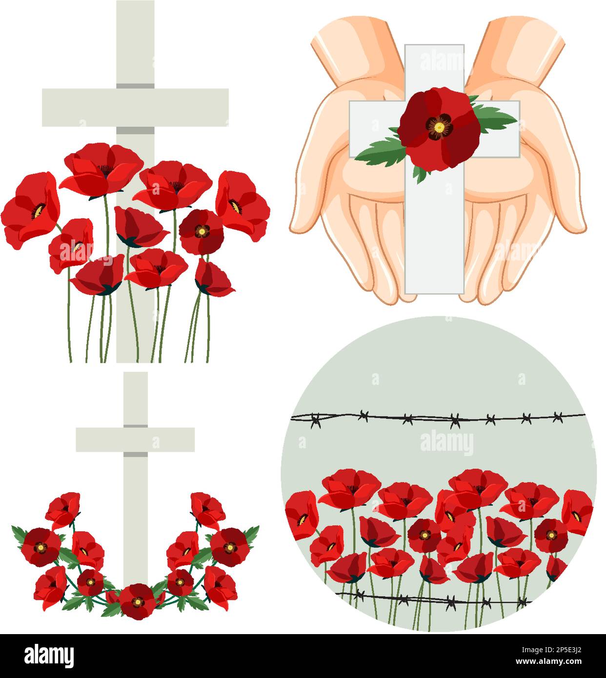 Set of mix red poppy illustration Stock Vector Image & Art - Alamy