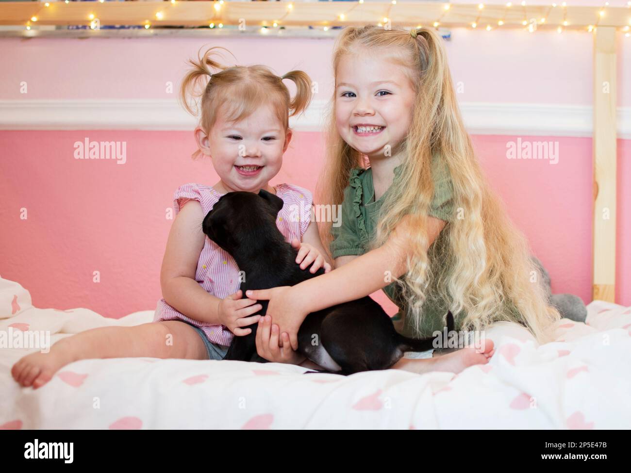 Two kids playing with a puppy. Children with a pet. Happy girls holding ...