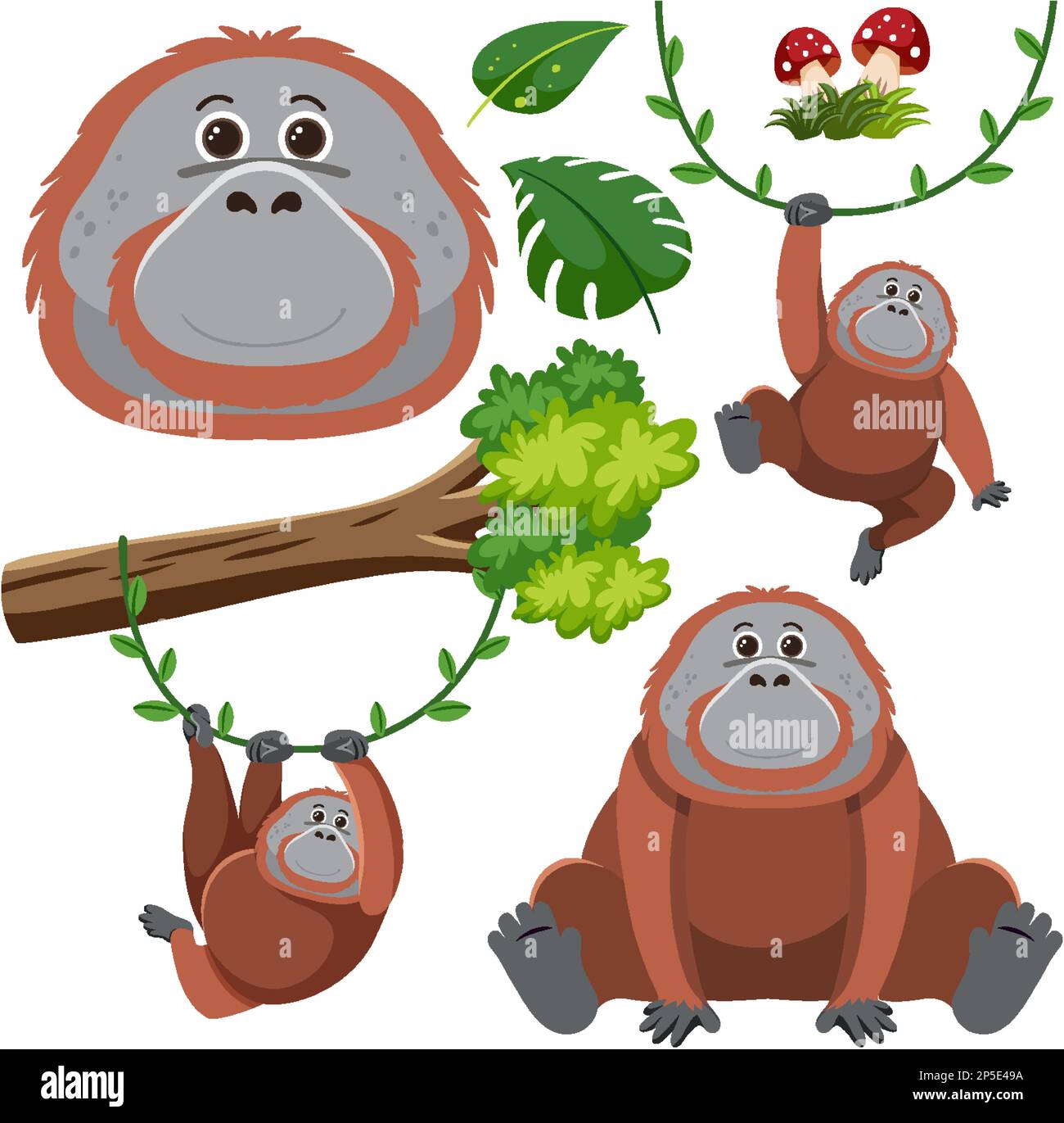 Set of orangutan cartoon character illustration Stock Vector Image ...
