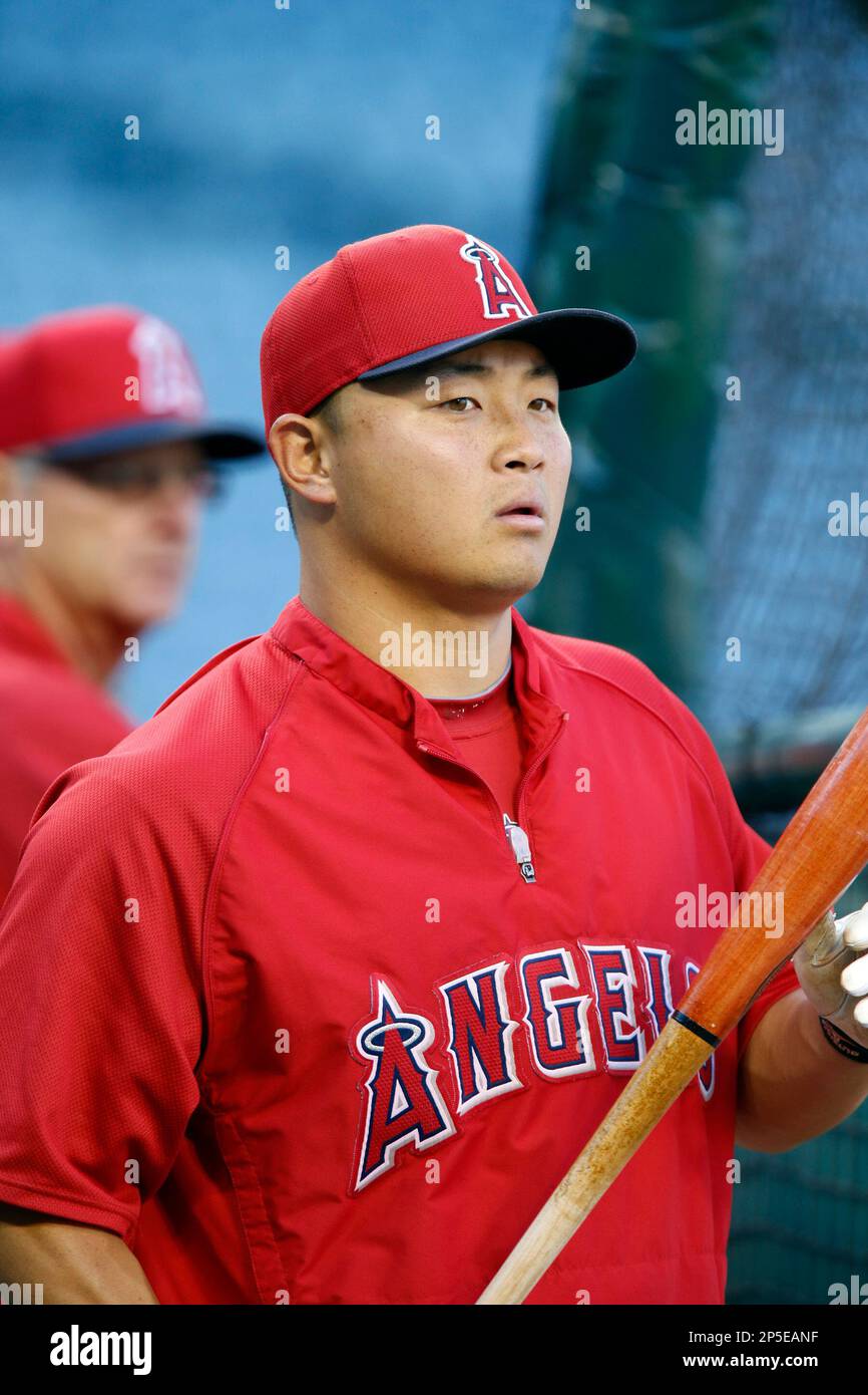 Hank Conger #16 of the Los Angeles Angels before a game against the ...