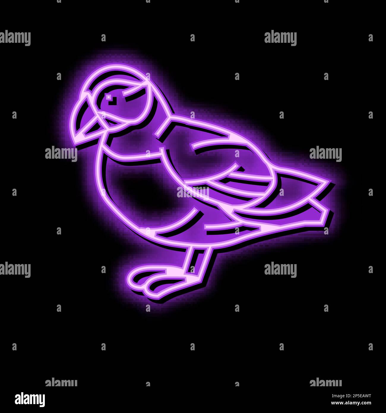 atlantic puffin bird exotic color icon vector illustration Stock Vector ...